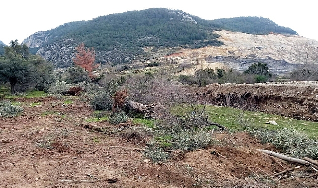 "AKBELEN'DE 'HARF HATASI'YLA YARGI ENGELLENDİ: ZEYTİNLER YARGI KARARI ...